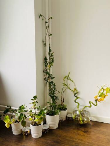 Covering radiator pipes - A BestHeating guide