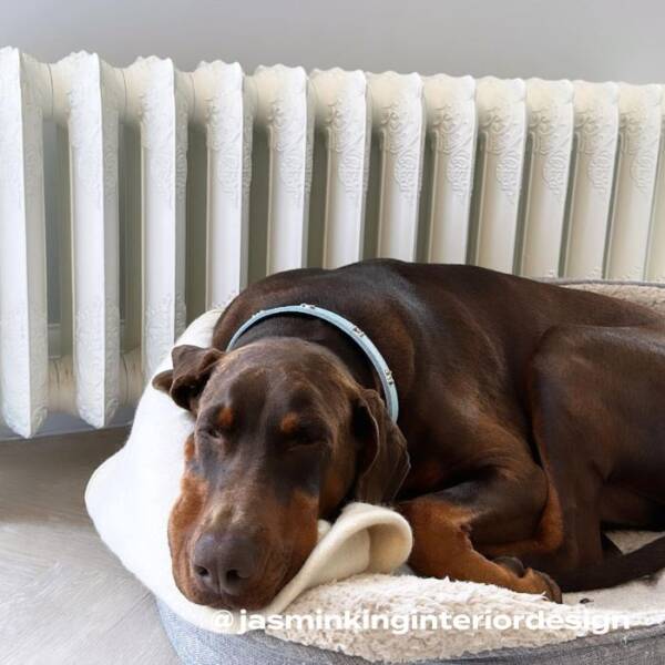 The top 10 low level radiators